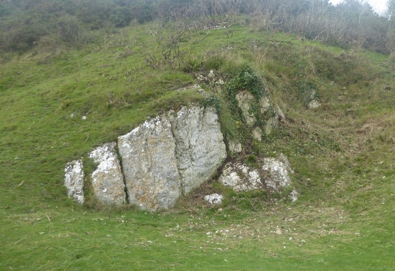 West Hill Chalk Pit | DIGS – Dorset's Important Geological Sites