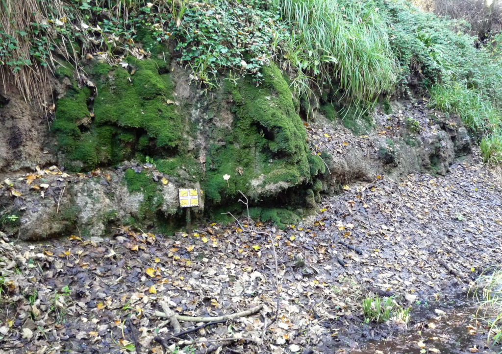 Geoconservation at Rodwell Cutting | DIGS – Dorset's Important ...
