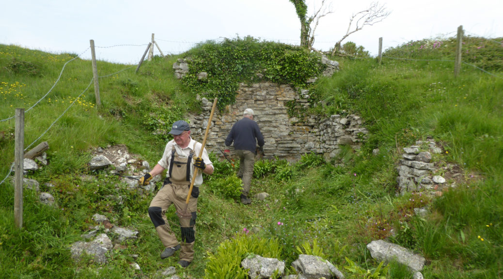 Portesham Farm Rocket Quarry Geoconservation | DIGS – Dorset's ...